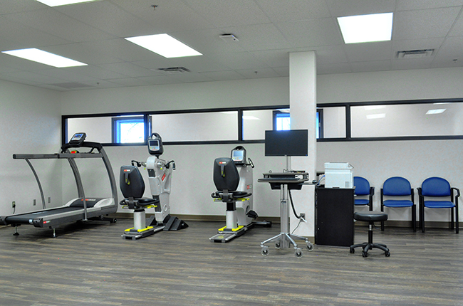 DENSO Manufacturing Michigan Family Medical Center