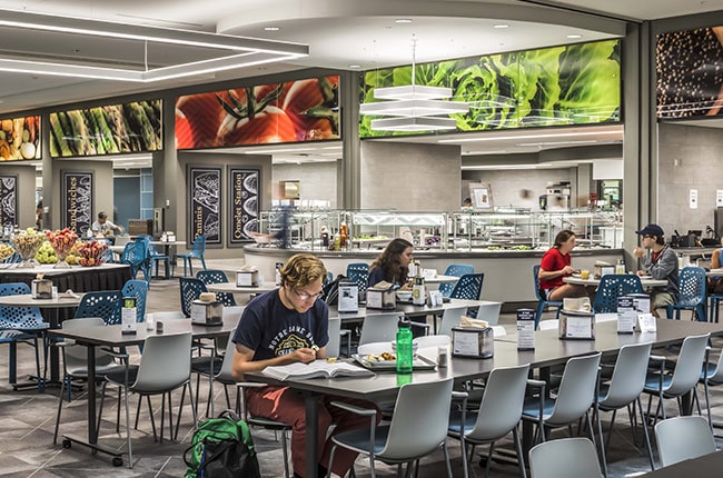 UNIVERSITY OF NOTRE DAME | Miller-Davis