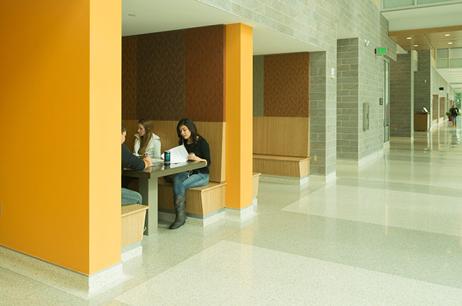 WESTERN MICHIGAN UNIVERSITY | Miller-Davis